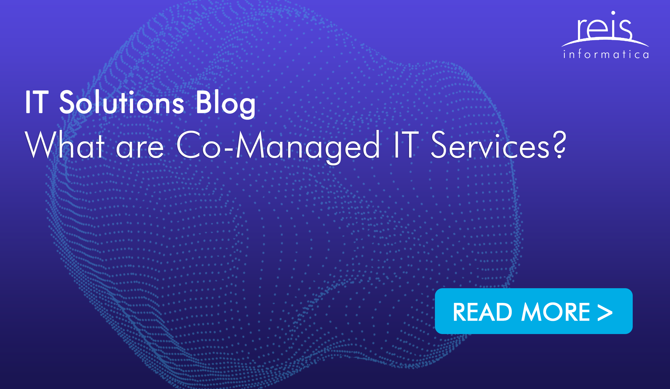 What are Co-Managed IT Services? - Reis Informatica